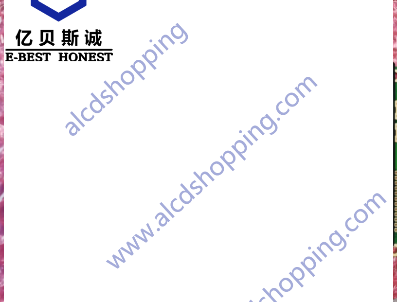 WG240128A-FFK-VZ 240*128 FSTN-LCD Display Modules